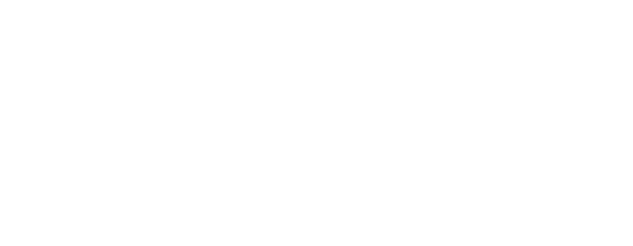 Handleidingen - Duroflame